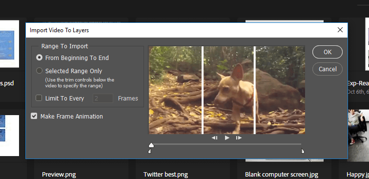 How to Make Animated GIFs for Social Media