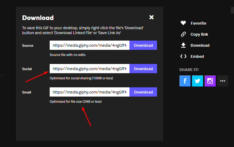 How to Make Animated GIFs for Social Media