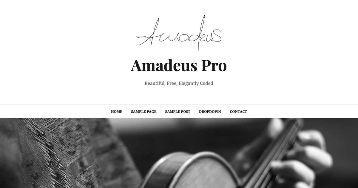 Amadeus Pro - Minimal WordPress Blogging Theme @ ThemeIsle