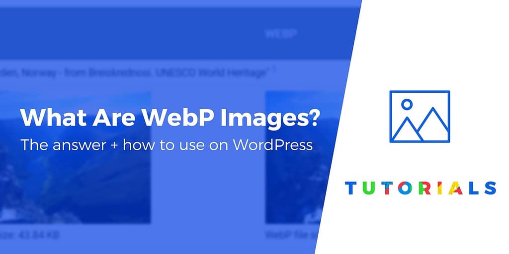 What Is WebP? Plus How to Use WebP Images in WordPress
