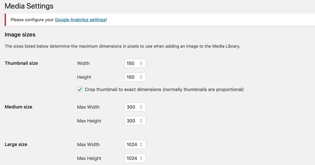 How to Serve Scaled Images on Your WordPress Website