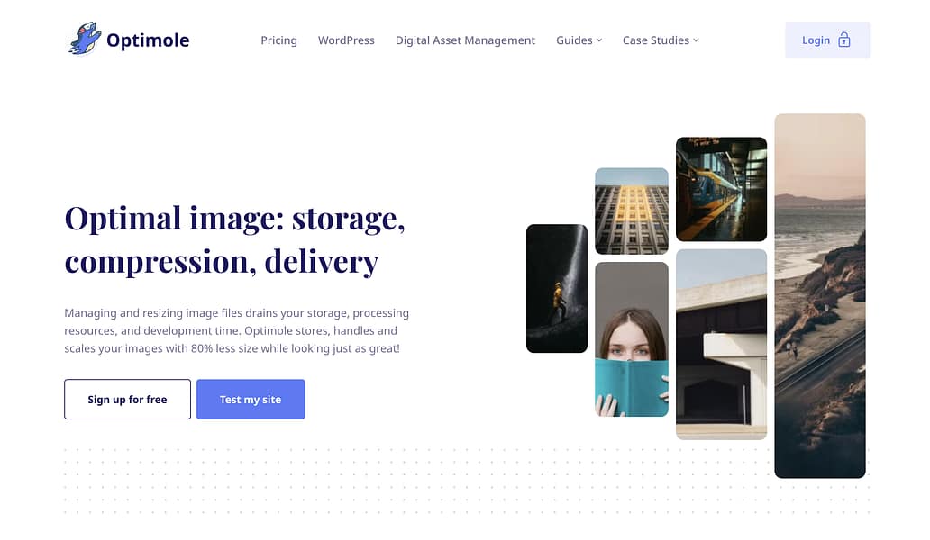 Cloudinary vs imgix vs ImageKit vs Optimole: Which Is Best?