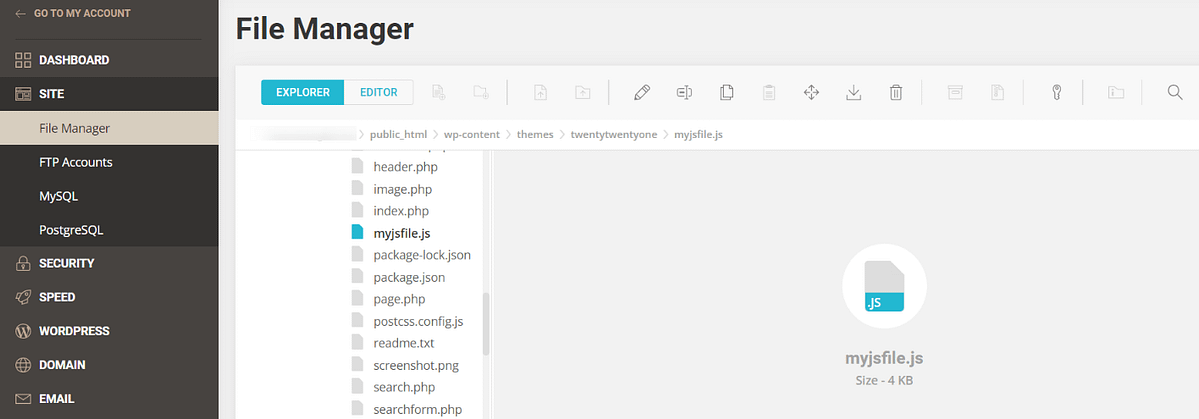 How to Add Custom JavaScript to WordPress (3 Methods)