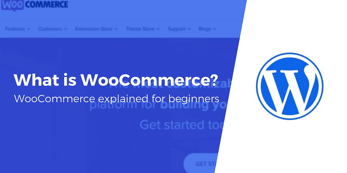 What Is WooCommerce? WooCommerce 101, Explained for Beginners