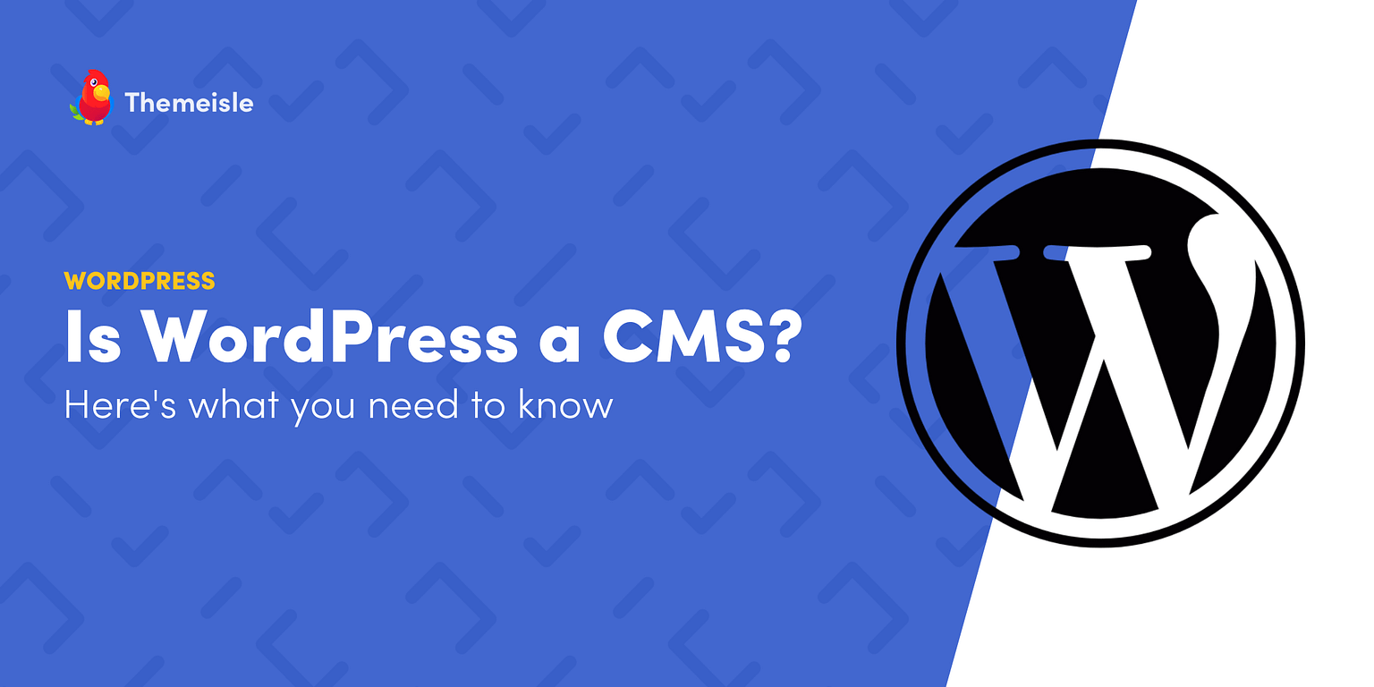 Is WordPress a CMS? Here's What You Need to Know