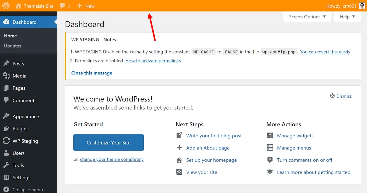 Beginner's Guide: How to Set Up a WordPress Staging Site