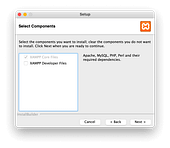 How to Install WordPress on XAMPP Locally - Beginner's Guide