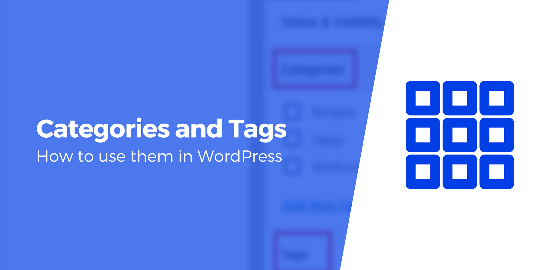 Categories and Tags in WordPress? How to Use Them