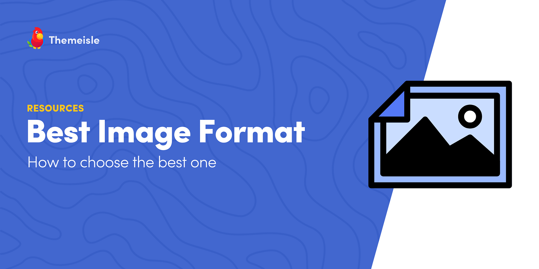 What's the Best Image Format for Websites? JPEG vs PNG vs GIF vs WebP ...