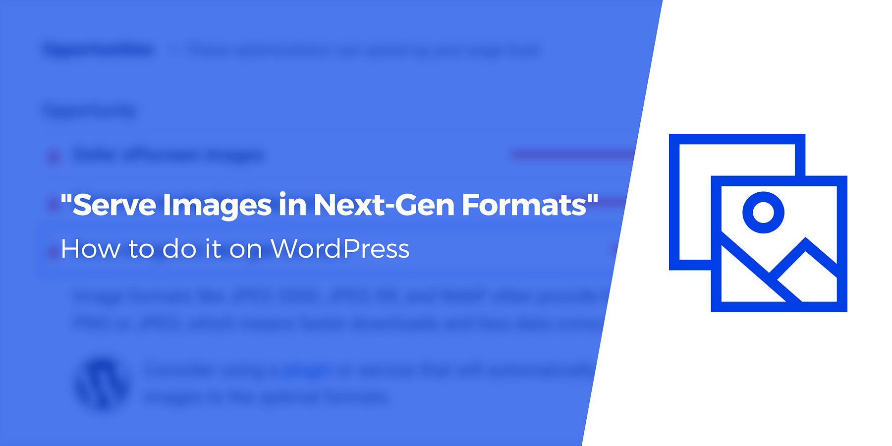 How to Serve Images in Next-Gen Formats (on WordPress) How to Serve Images in Next-Gen Formats (on WordPress)