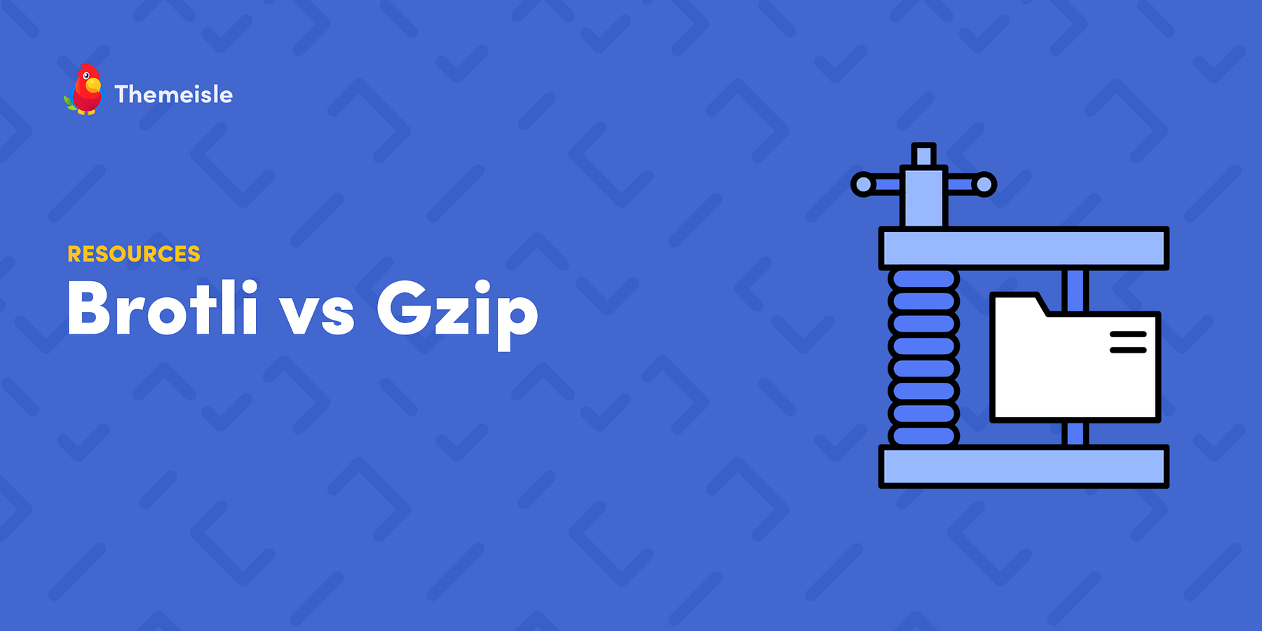 Brotli vs Gzip: Which Compression Is More Effective in WordPress?