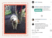 14 User-Generated Content Examples to Inspire Your Own Campaign