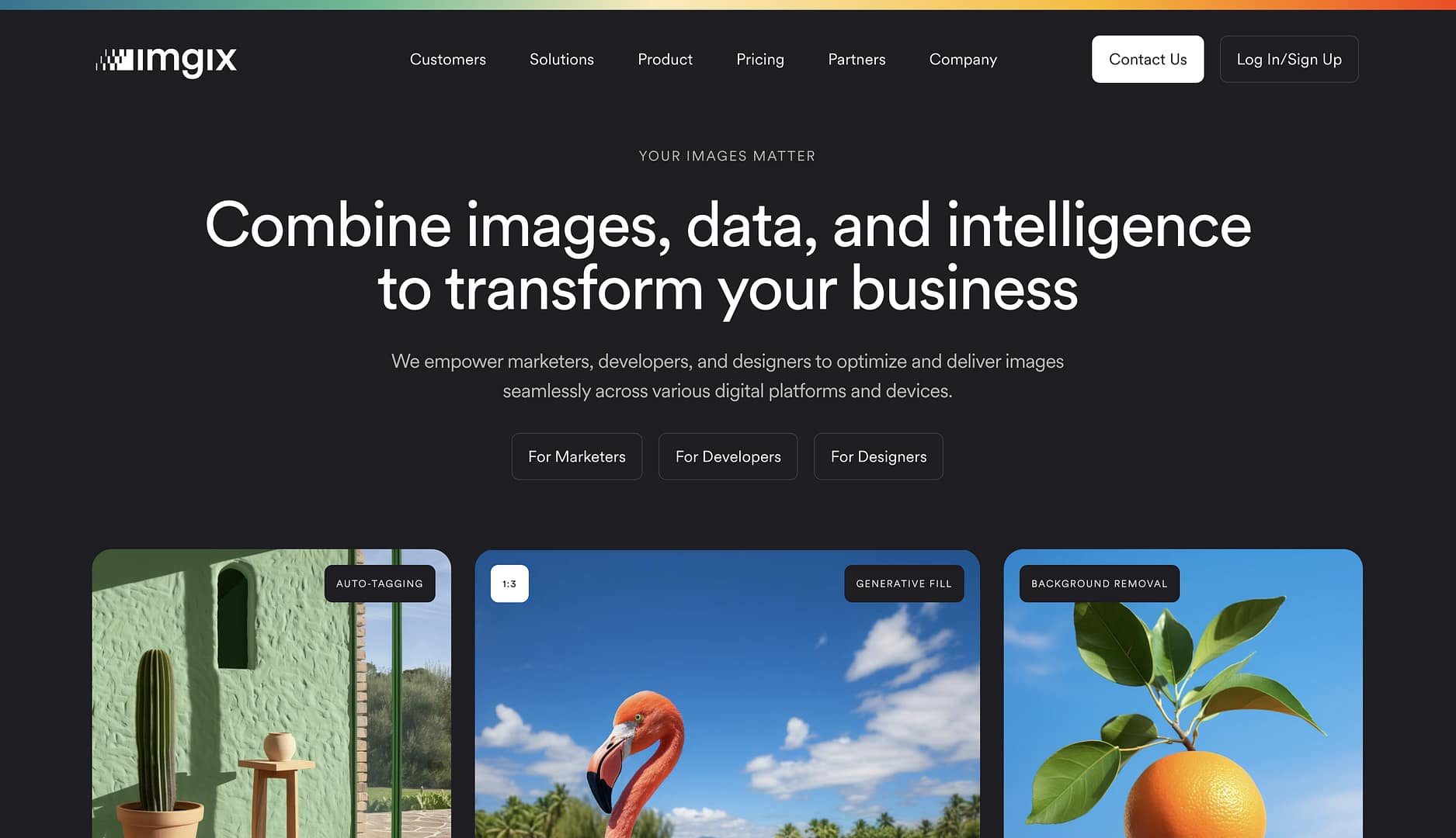 Cloudinary vs imgix vs ImageKit vs Optimole: Which Is Best?