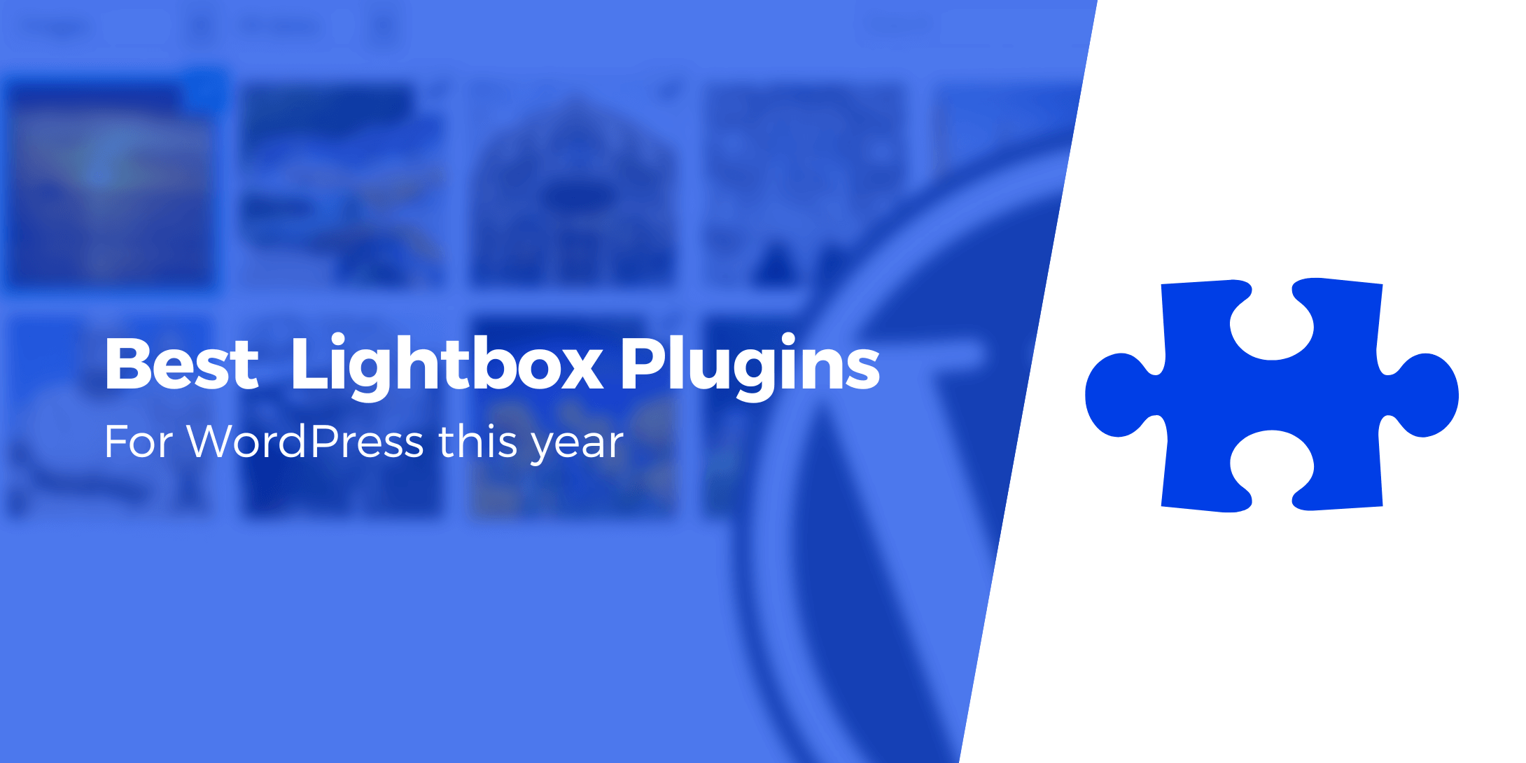 6 Best Wordpress Lightbox Plugins For 2024