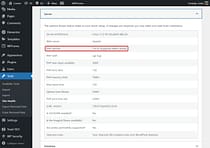 Elementor Not Loading? 8 Ways to Fix It Immediately