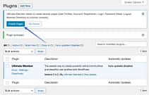 WordPress Author Pages: How to Make Custom Author Pages