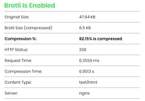 Brotli vs Gzip: Which Compression Is More Effective in WordPress?