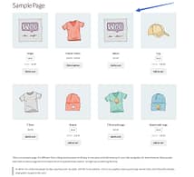 WooCommerce Shortcode 101: Everything You Need to Know