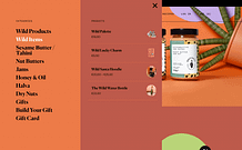 10 Innovative Web Design Examples You Can Learn From