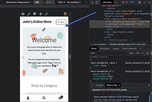 How to View Mobile Version of Website: In Just 3 Clicks