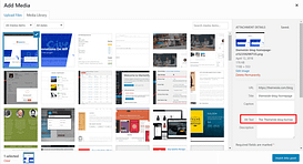 4 Ways to Handle Missing Images on a Website (Beginner's Guide)