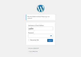 WordPress Recovery Mode: What Is It and How to Use It to Fix Your Site