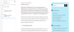 Beginner's Guide: How to Use CSS in WordPress for Easy Style Tweaks