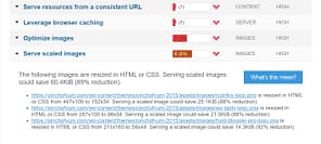 How to Serve Scaled Images on Your WordPress Website