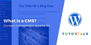 A Complete Guide to HTML Link Attributes (In a Nutshell)