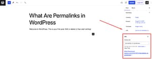 What Are Permalinks in WordPress? How to Set Them and Why