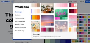 20 Best Web Design Software Tools (In 6 Categories)