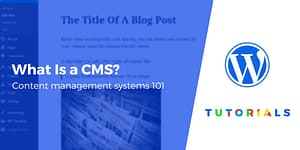 A Complete Guide to HTML Link Attributes (In a Nutshell)