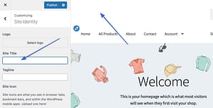 How to Change WordPress Site Title (4 Simple Methods + a Bonus One)