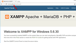 How to Install XAMPP and WordPress Locally on Windows PC