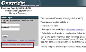 Can I Copyright My Website? Learn How to Copyright a Logo and All Site ...