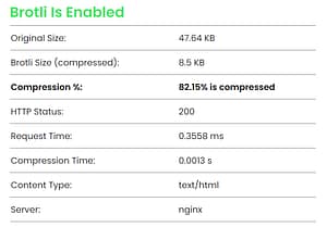 Brotli vs Gzip: Which Compression Is More Effective in WordPress?