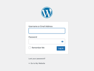 What Is Self-Hosted WordPress? (Expert Explains)