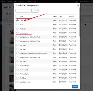 Organize Your Media Library by Adding WordPress Media Folders