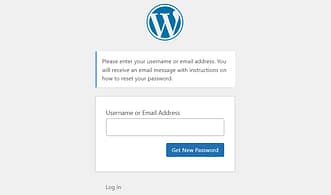How to Create a WordPress Custom Reset Password Page