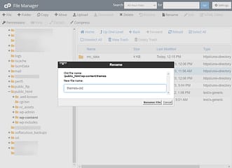 WordPress Crashed? Fix Your Site Immediately