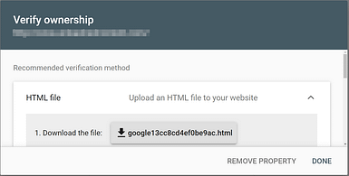 Google Site Verification (for WordPress): 5 Ways to Do It