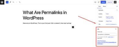 What Are Permalinks in WordPress? How to Set Them and Why