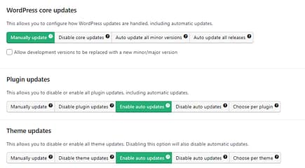 How to Disable WordPress Auto Update (Plugins, Themes, Core)