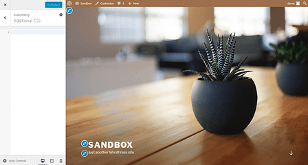 Beginner's Guide: How to Use CSS in WordPress for Easy Style Tweaks