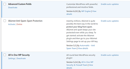 How to Disable WordPress Auto Update (Plugins, Themes, Core)