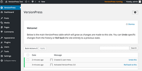 Beginner's Guide to WordPress Version Control - 2 Ways to Start