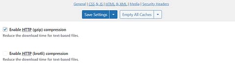Brotli vs Gzip: Which Compression Is More Effective in WordPress?