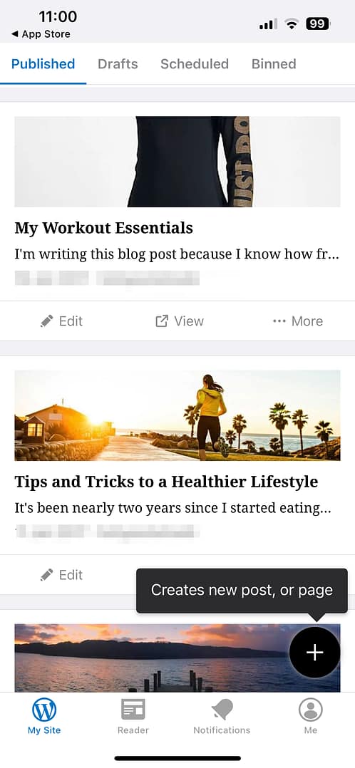 WordPress Mobile App Explained: How to Use It (For Beginners)