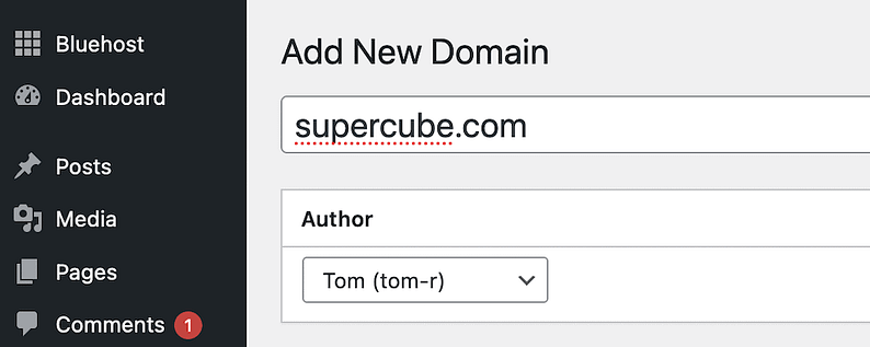 How to Set Up WordPress Domain Mapping Without Multisite