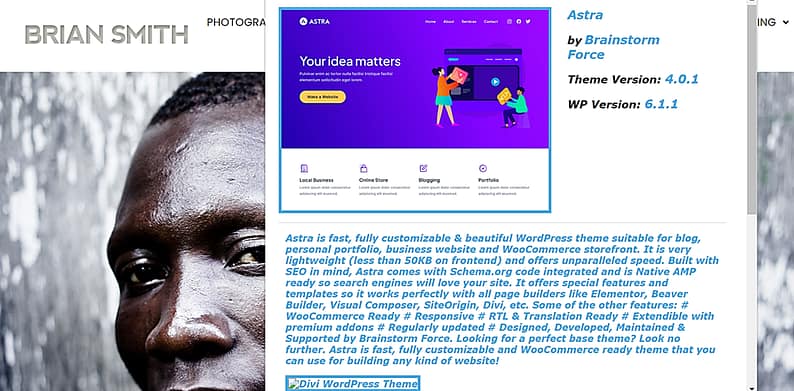 6 Best WordPress Theme Detectors Tested and Compared